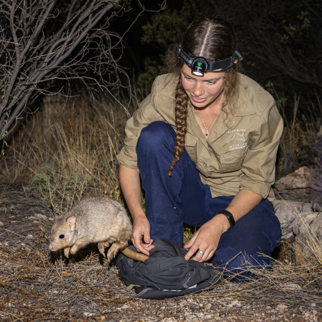 Support wildlife translocations across Australia - GlobalGiving