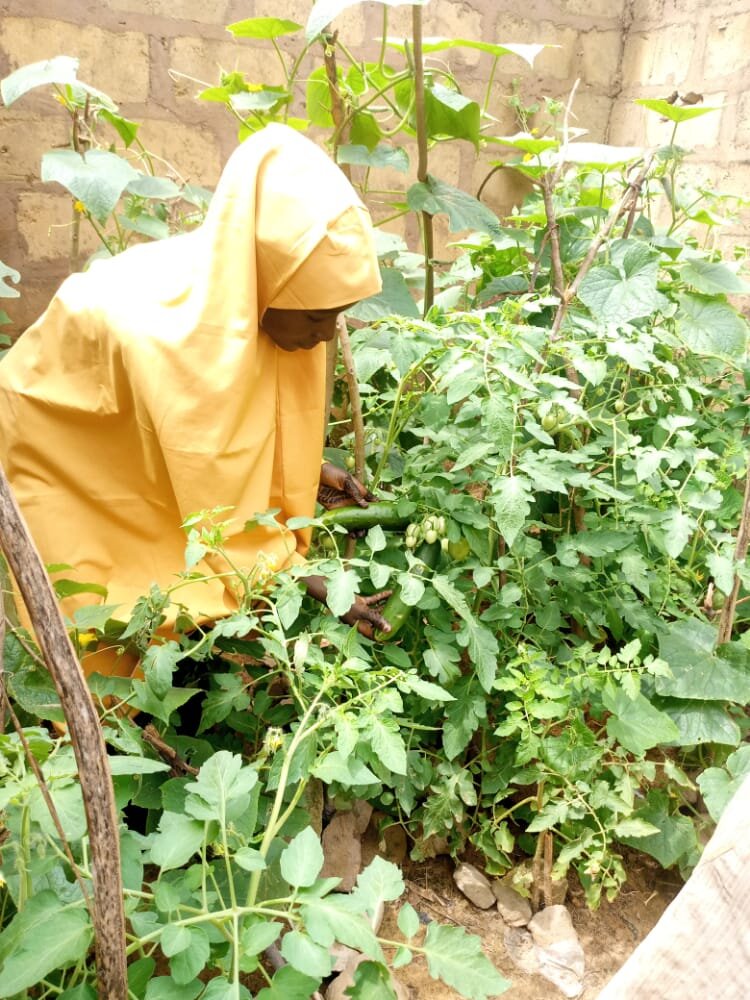 HELP TRAIN 100 RURAL WOMEN TO ADDRESS HUNGER - GlobalGiving