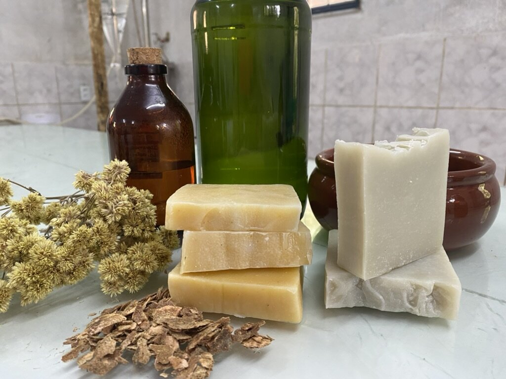 Reviving Traditional Uses of Forest Plants - GlobalGiving