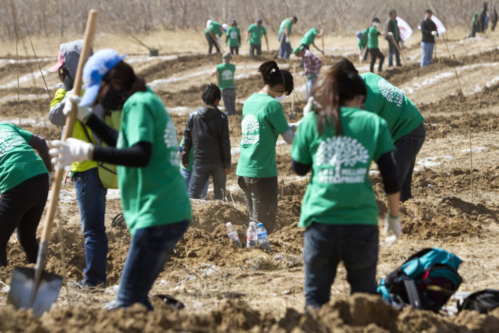 Plant 10,000 Trees in Northern China - GlobalGiving