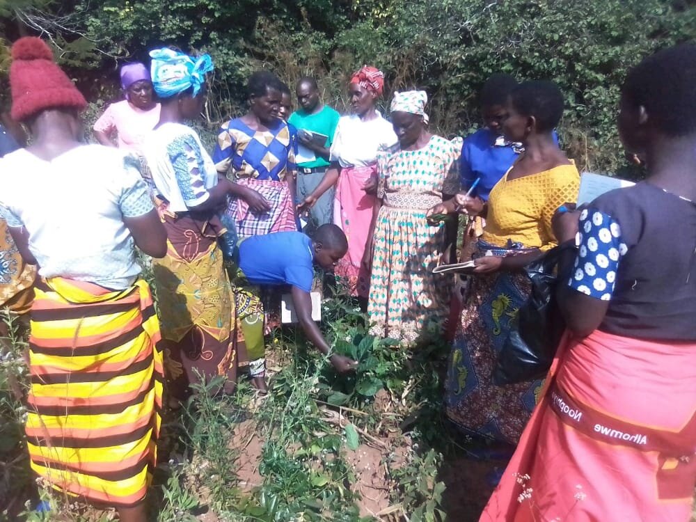 Plant the seeds of tomorrow for an Orphan child - GlobalGiving