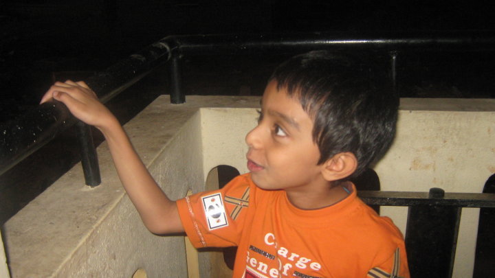 +Impact 50 Autistic Children/Families, South India - GlobalGiving