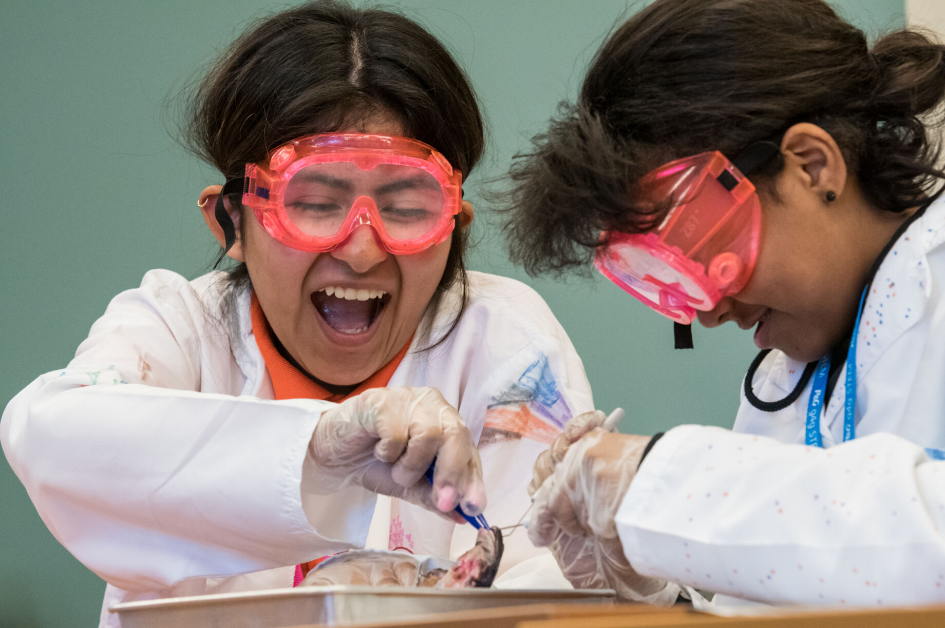 Inspire 1500 Girls To Be Future STEM Adventurers GlobalGiving inspire-1500-girls-to-be-future-stem-adventurers-globalgiving