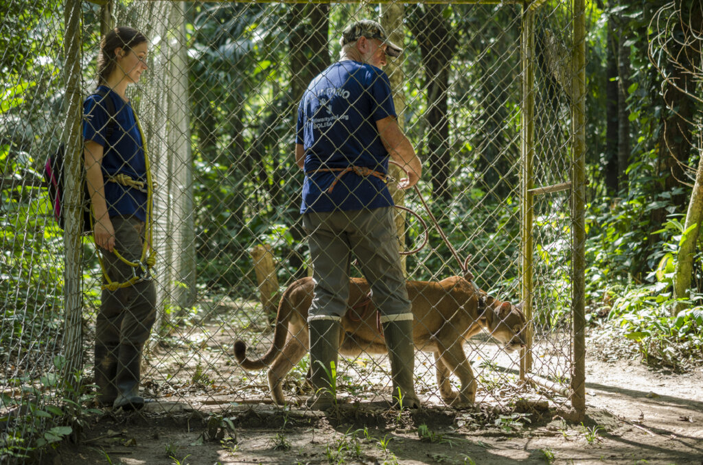 Donate to Time to renovate the Ambue Ari comedor! - GlobalGiving