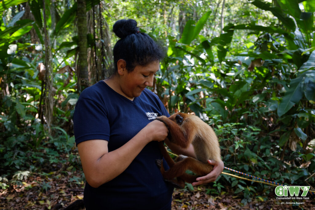 Time to renovate the Ambue Ari comedor! - GlobalGiving