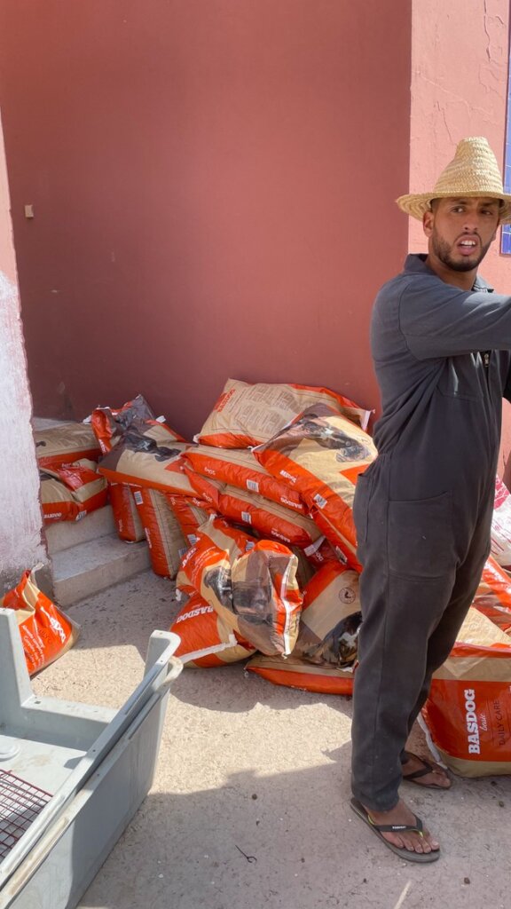 Save dogs in the Agadir City Pound from Starvation - GlobalGiving