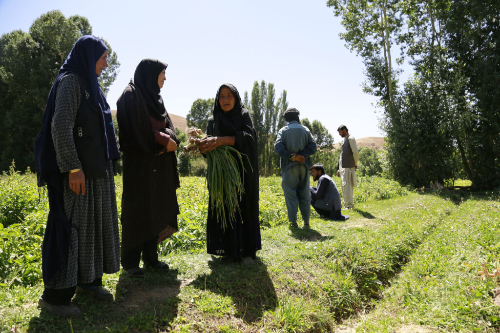 Provide relief to women in Afghanistan - GlobalGiving