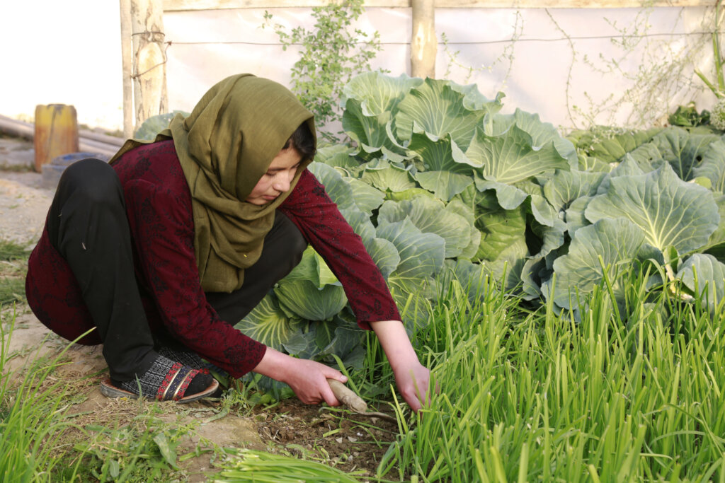 Provide relief to women in Afghanistan - GlobalGiving