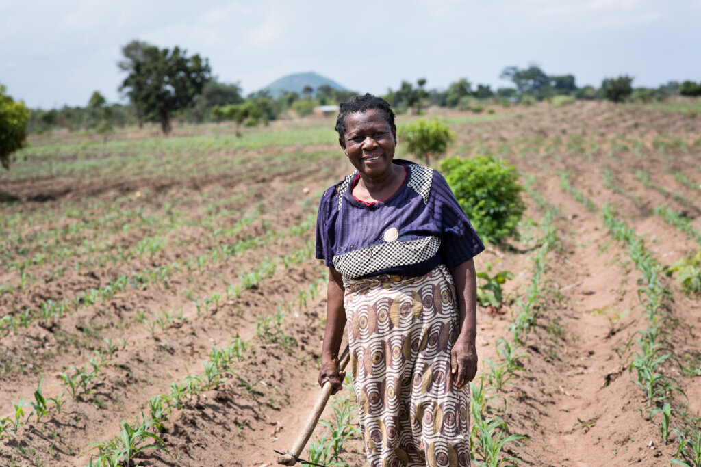 Help 500 Smallholder Farmers in Sub-Saharan Africa - GlobalGiving