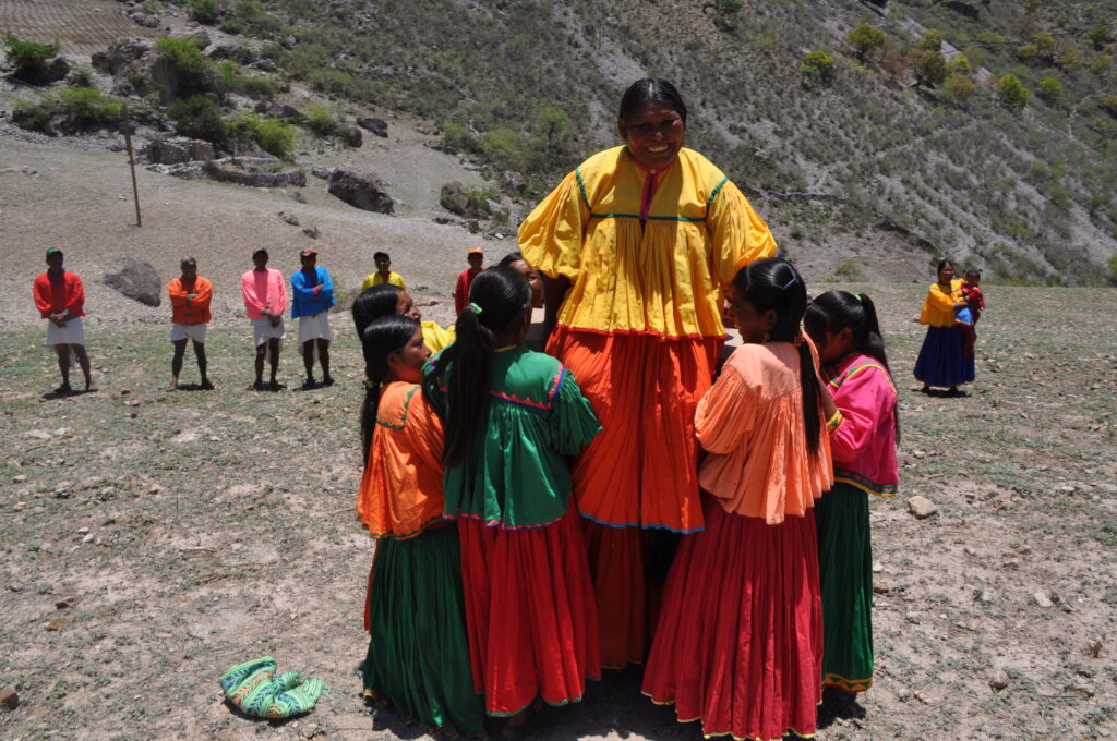 Donate to Forest restoration in northern Mexico - GlobalGiving