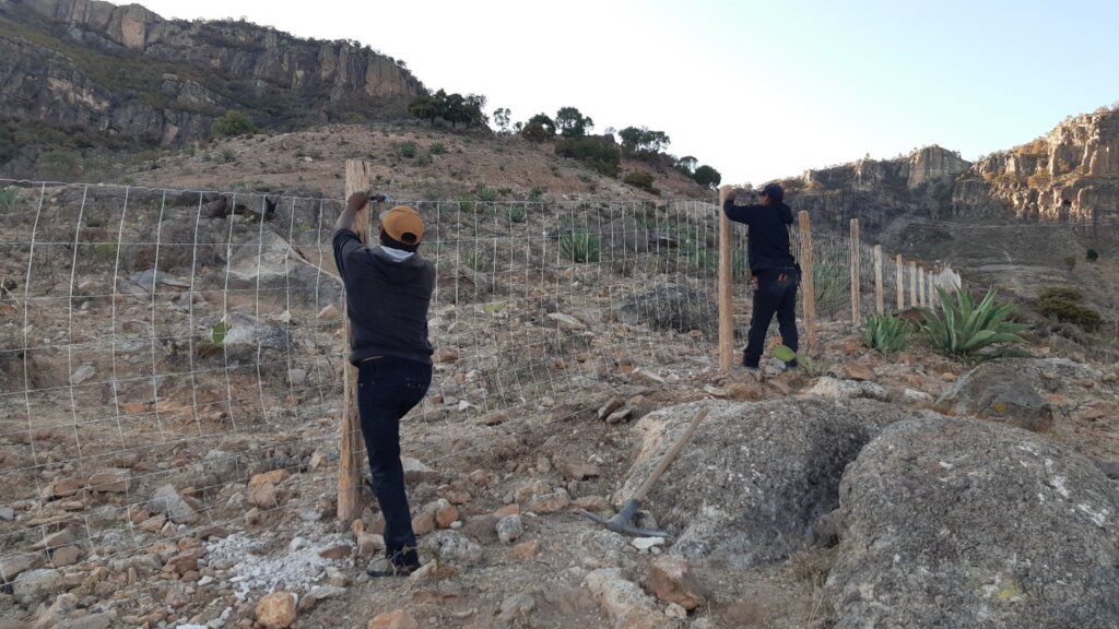 Donate to Forest restoration in northern Mexico - GlobalGiving