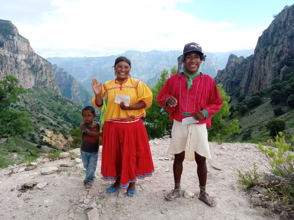 Donate to Forest restoration in northern Mexico - GlobalGiving