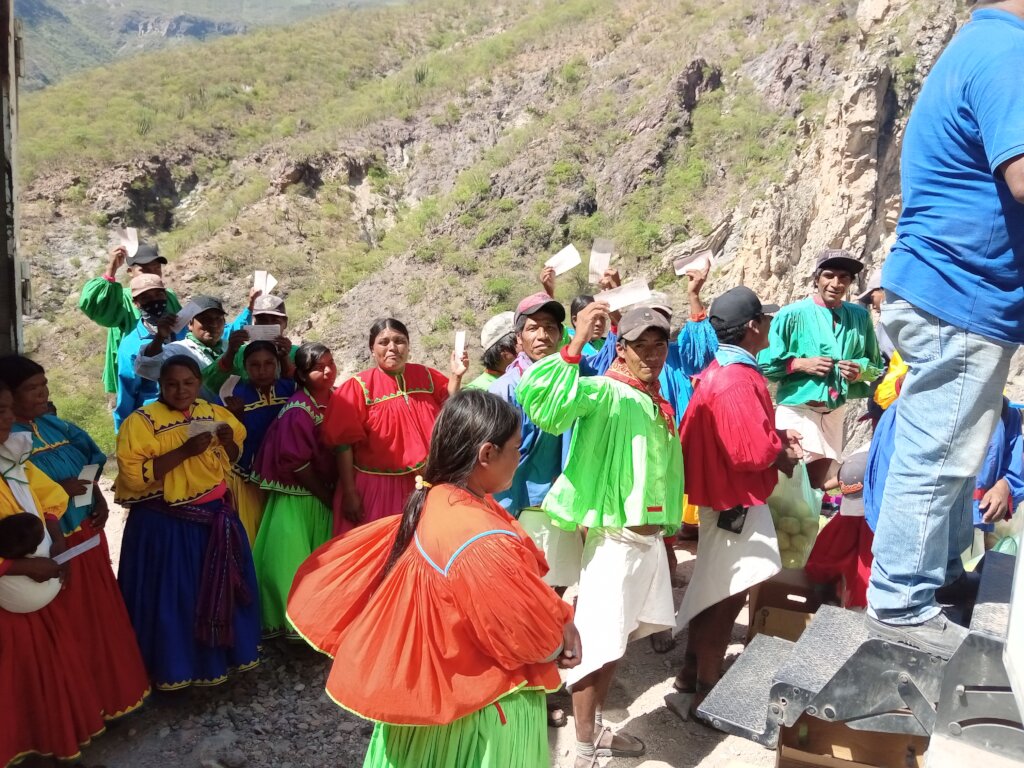 Donate to Forest restoration in northern Mexico - GlobalGiving