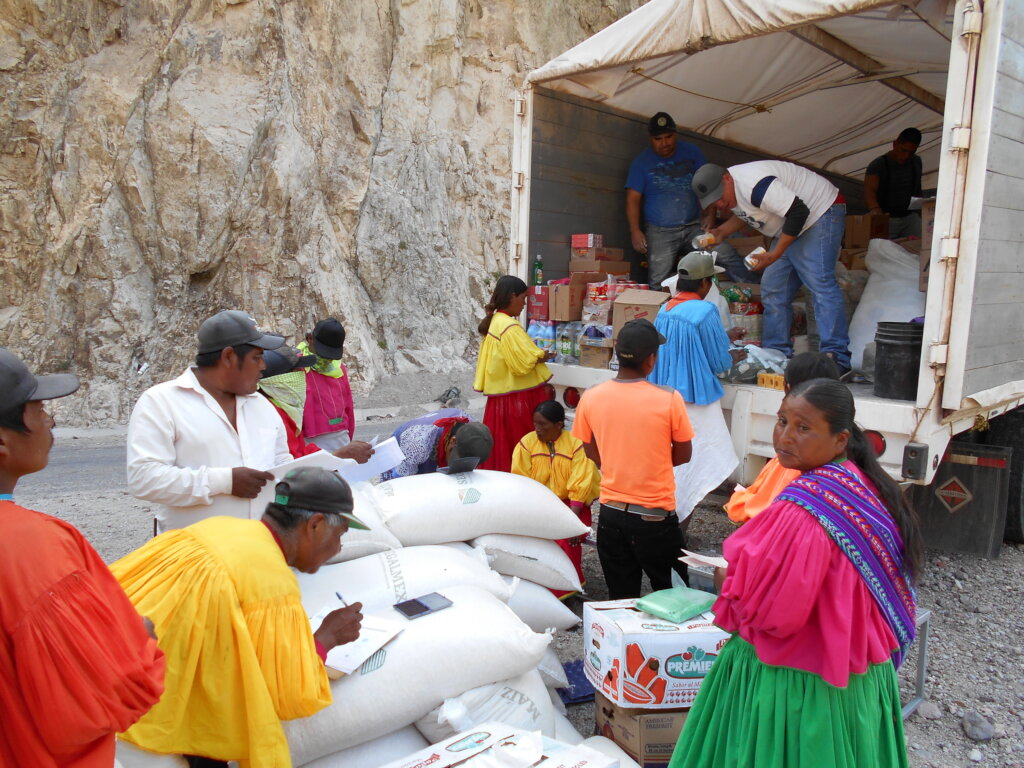 Donate to Forest restoration in northern Mexico - GlobalGiving