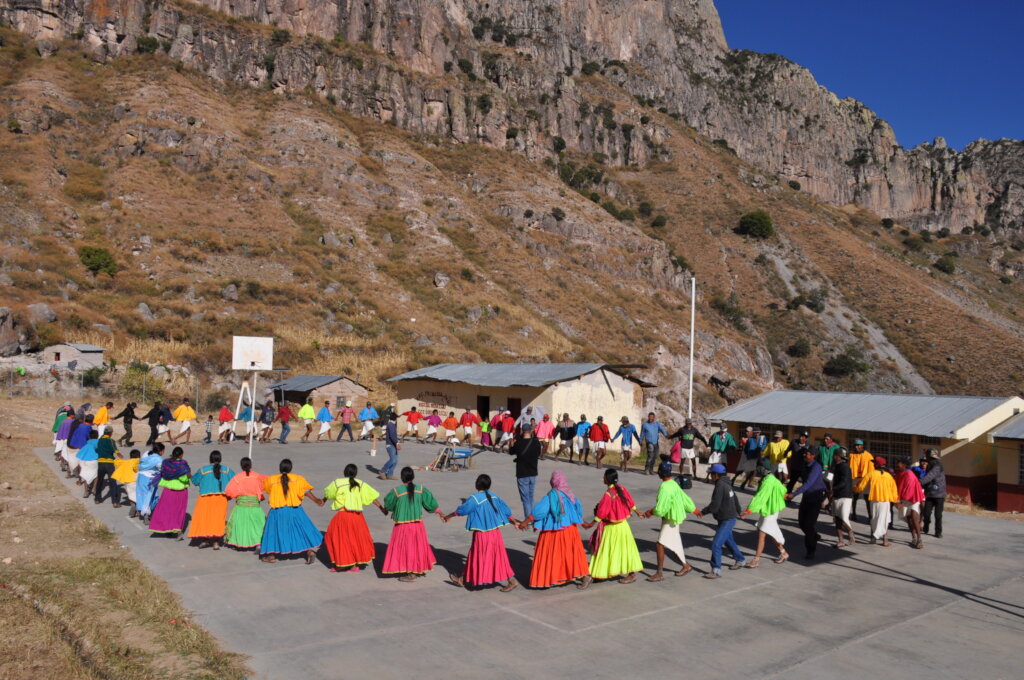 Donate to Forest restoration in northern Mexico - GlobalGiving