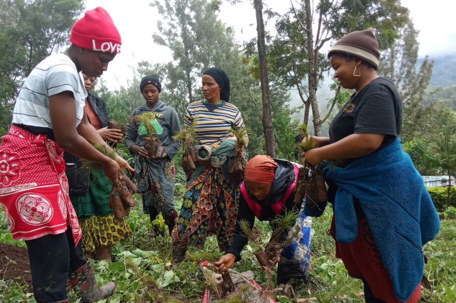 rescue the near loss magamba forest reserve - GlobalGiving