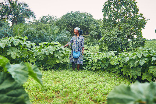 Empower 300 women entrepreneurs in rural Nigeria - GlobalGiving