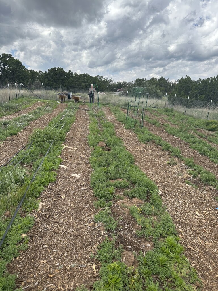 Feeding Community Facing Food Insecurity - GlobalGiving