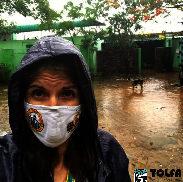 Donate to Building Works To Flood-Proof Our Animal Hospital - GlobalGiving