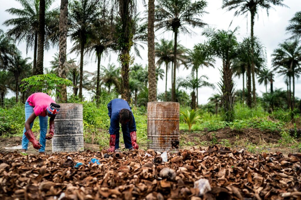 Donate to Fighting Deforestation Using Coconut Husk Charcoal - GlobalGiving
