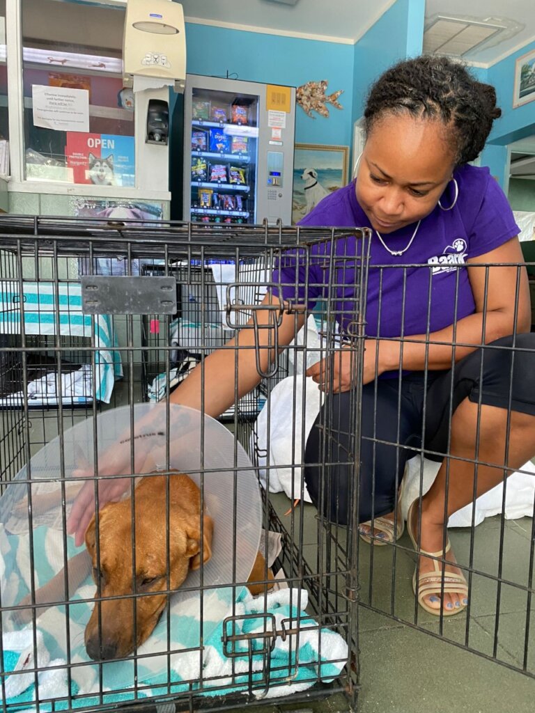 Operation Potcake 2024 - GlobalGiving