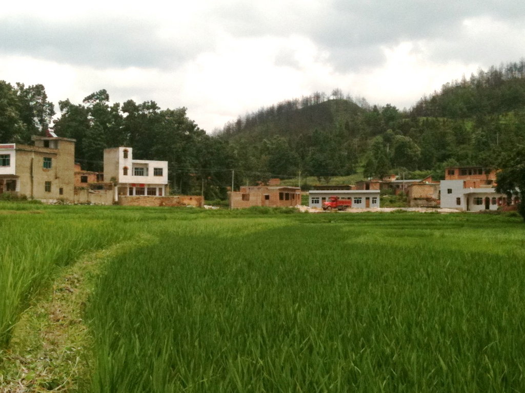 Train and link-up Chinese small-scale farmers - GlobalGiving