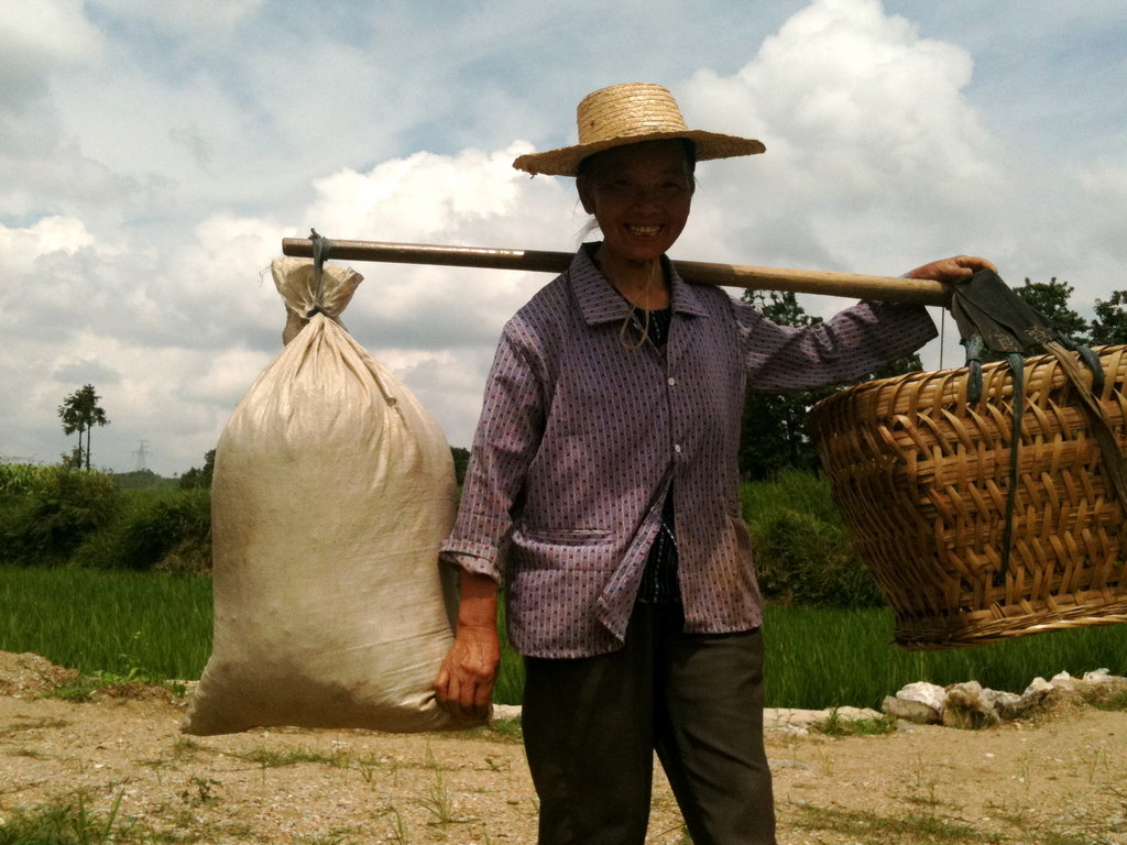 Train and link-up Chinese small-scale farmers - GlobalGiving