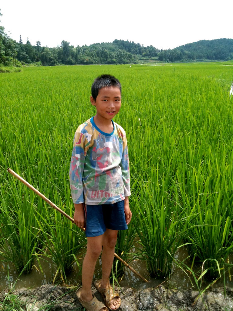 Train and link-up Chinese small-scale farmers - GlobalGiving