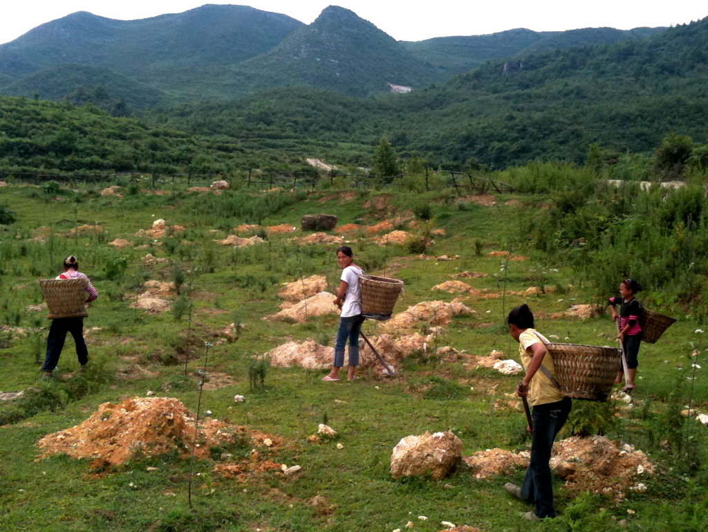 Train and link-up Chinese small-scale farmers - GlobalGiving