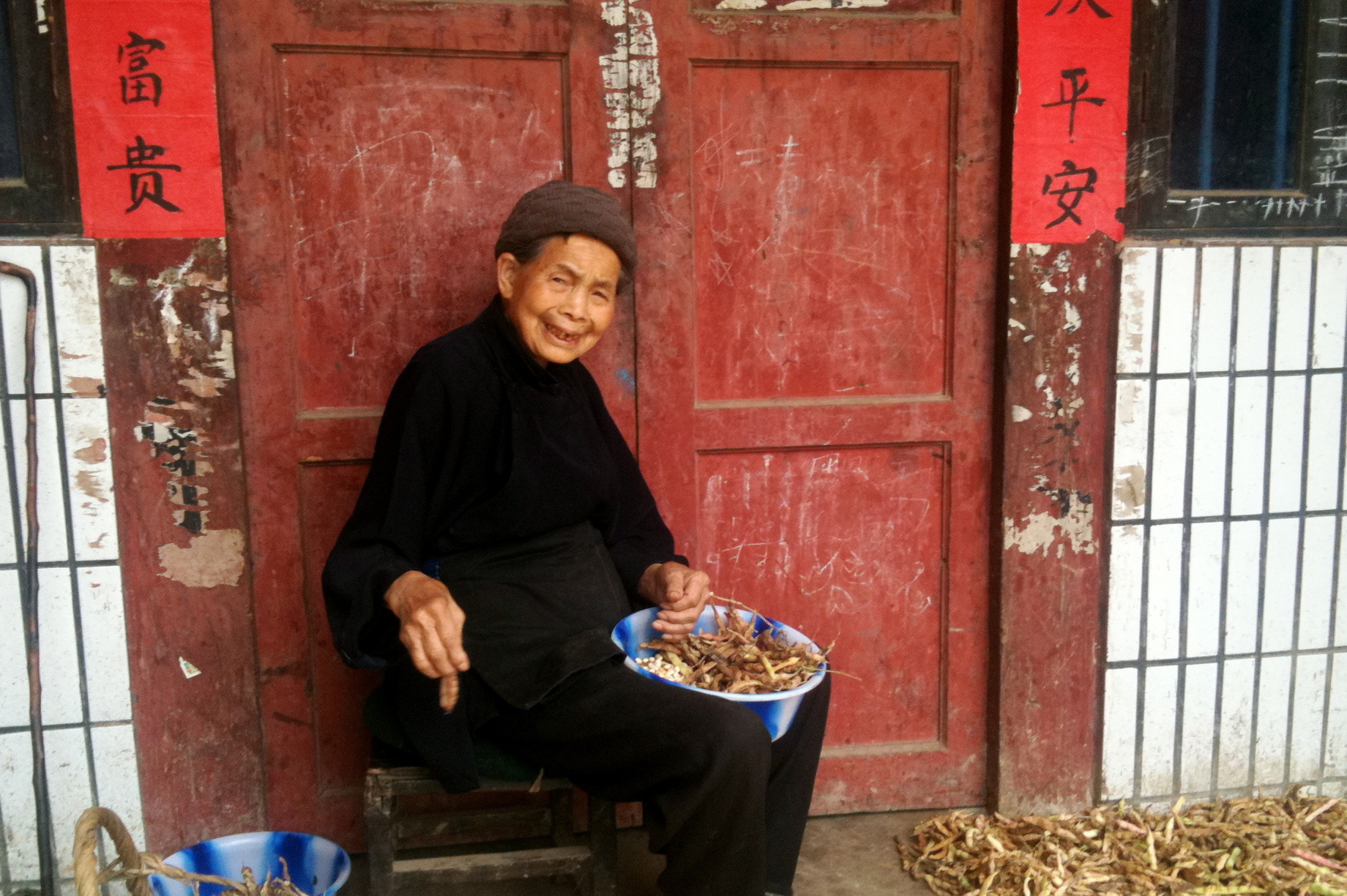 Train and link-up Chinese small-scale farmers - GlobalGiving