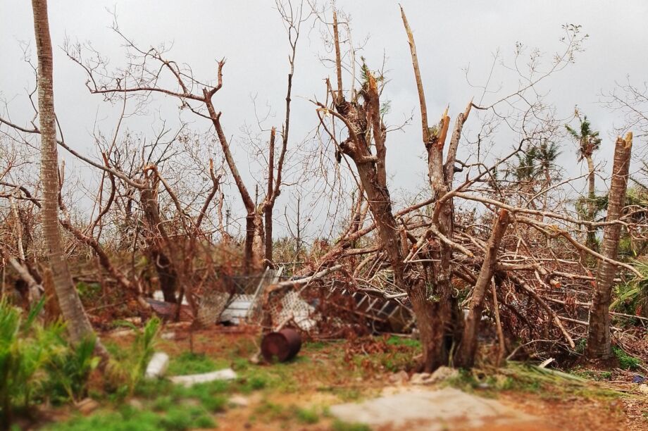 Recovery Efforts- Guam Farmers from Super Typhoon - GlobalGiving