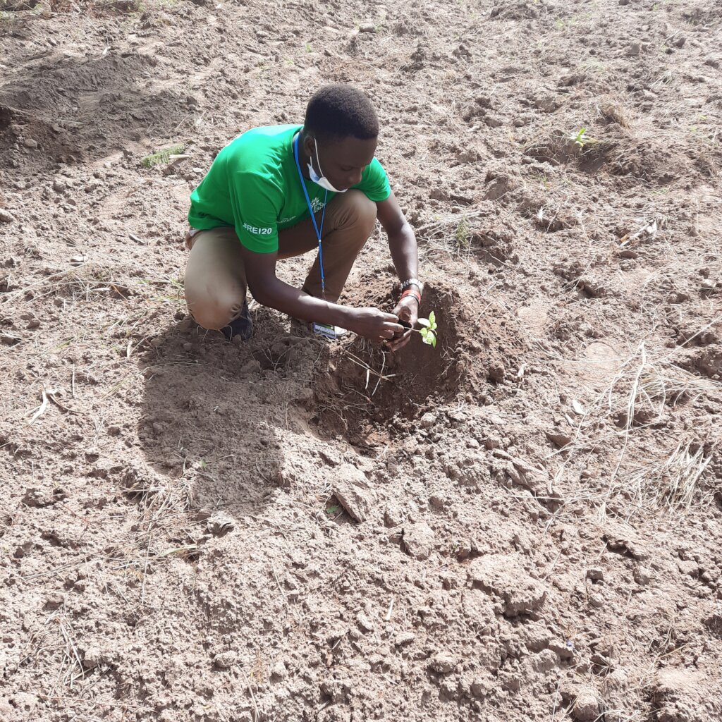 Plant 100,000 Indigenous Trees in Uganda, Africa - GlobalGiving