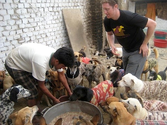 Spay & Neuter street dogs of Huanchaco, Peru - GlobalGiving