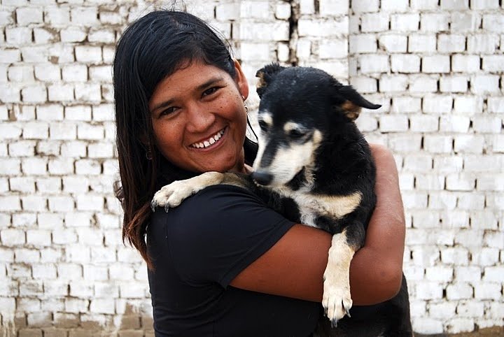 Spay & Neuter street dogs of Huanchaco, Peru - GlobalGiving