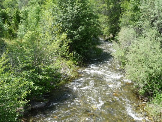 Restoring water in the Little Applegate River - GlobalGiving