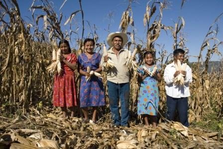 Donate to Increase family income of 50 Mexican farmers - GlobalGiving