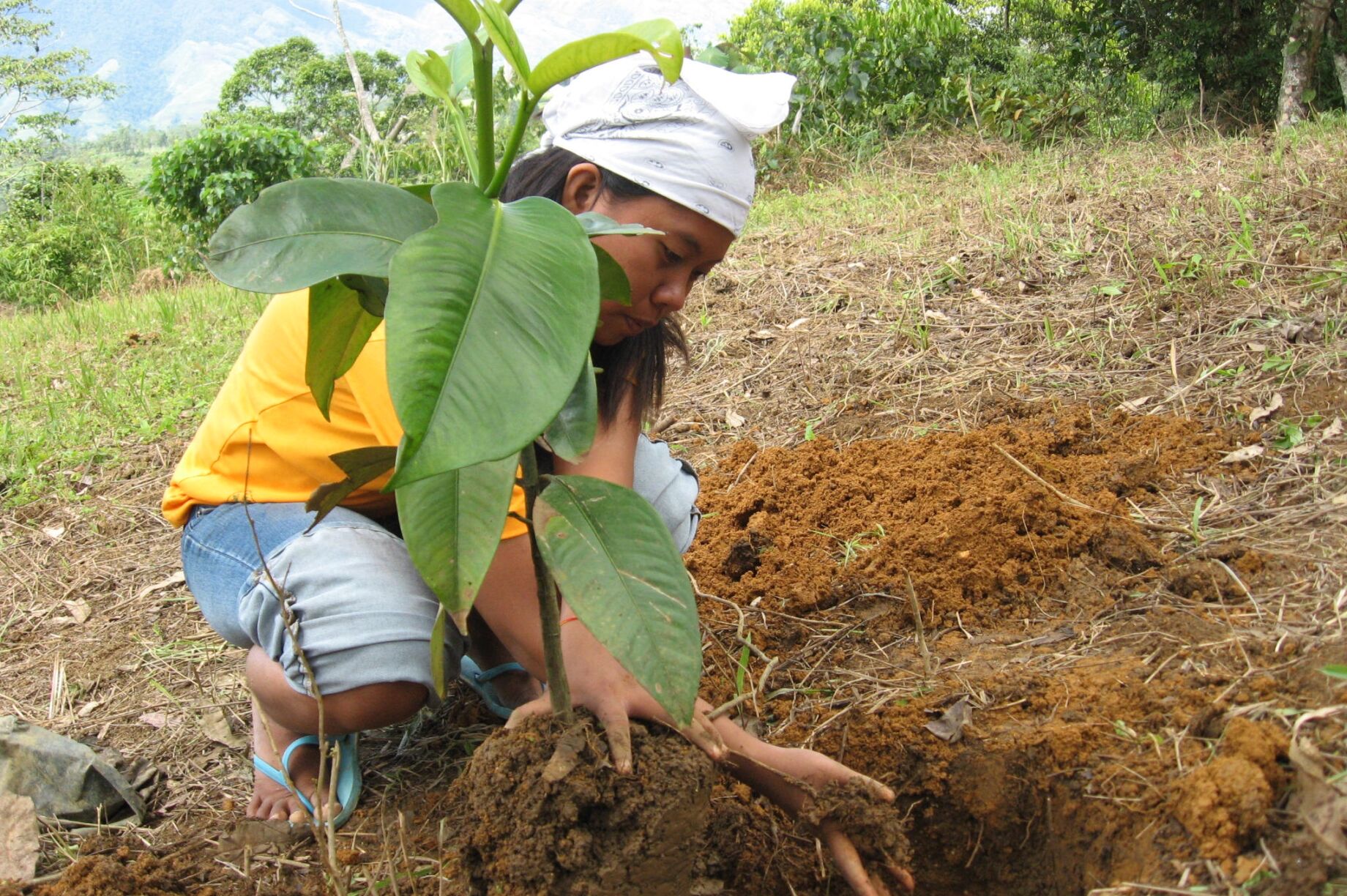 Growing Food and Improved Well-being for Women - GlobalGiving
