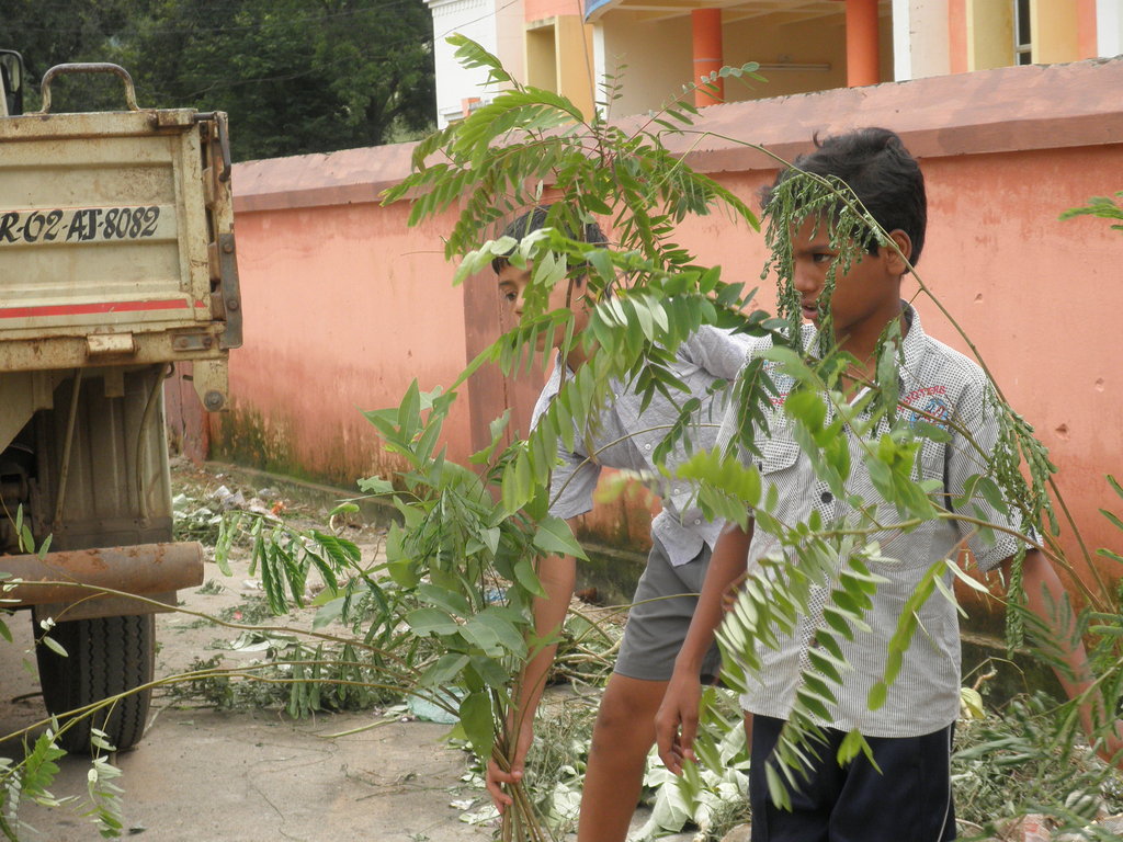 Plant native trees in 100 village in India. - GlobalGiving