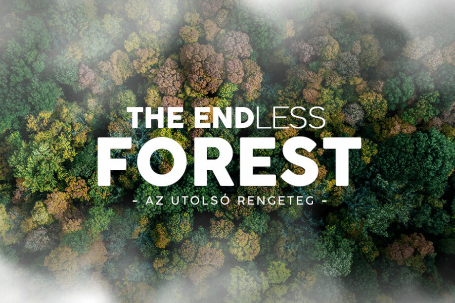 THE ENDless FOREST - a documentary - GlobalGiving