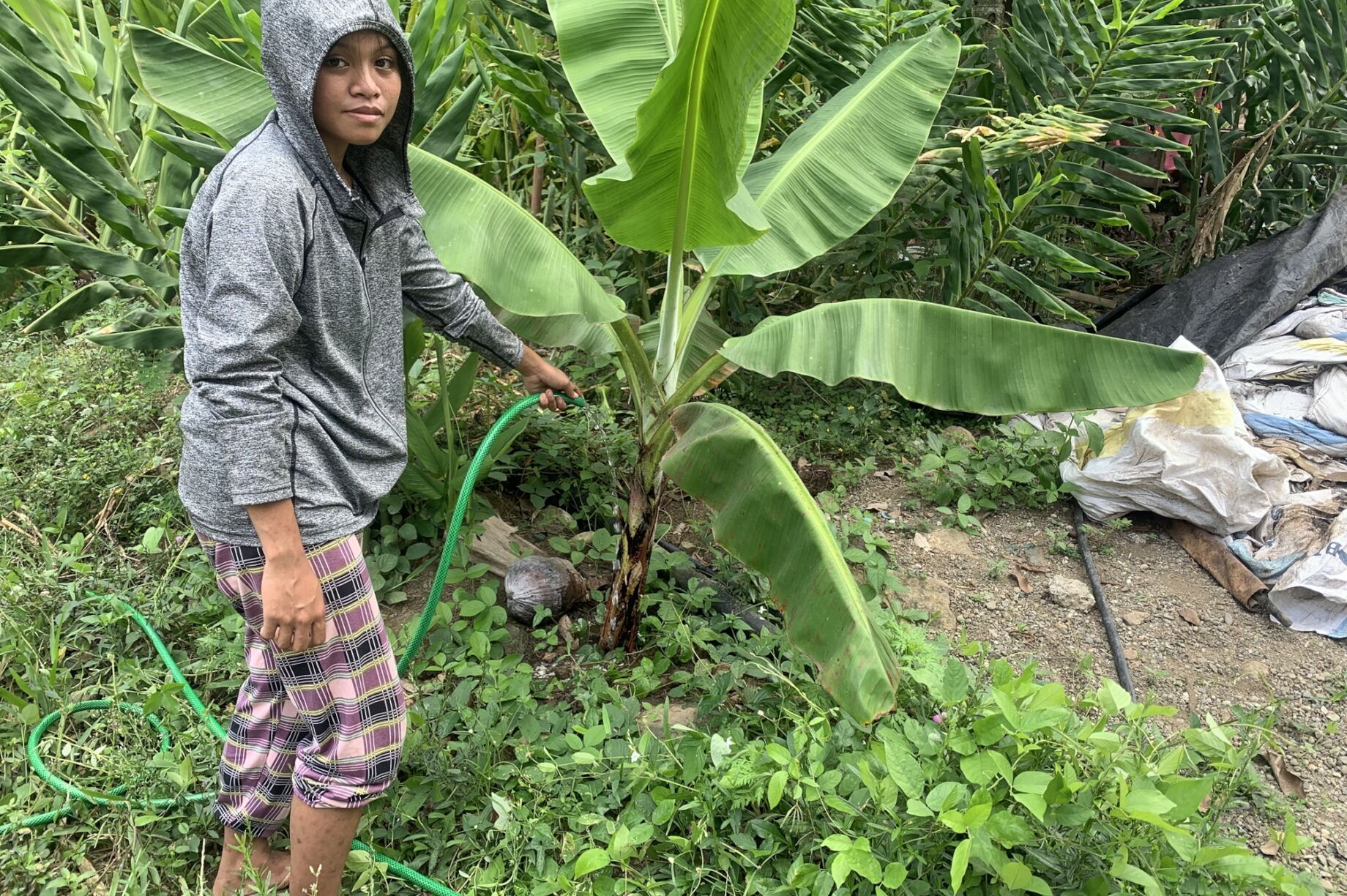 Food Security For 150 Poor Women Globalgiving