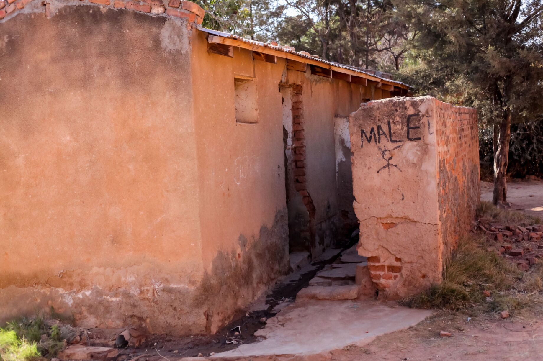 RENOVATING OUR TOILETS IN 5 TANZANIA SCHOOLS - GlobalGiving