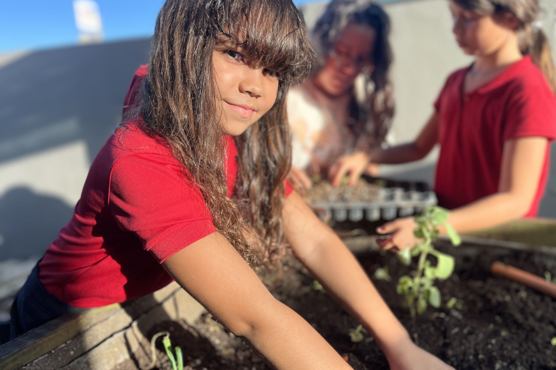 Donate to Composting from school! - GlobalGiving