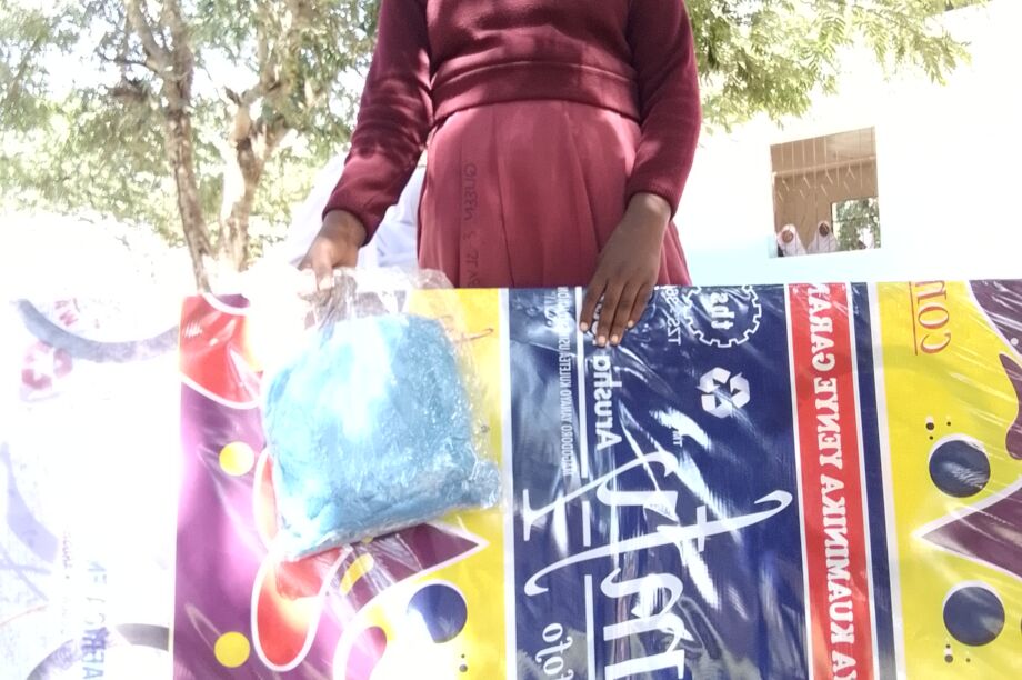 Help 600 Girls from Genital Mutilation in Chalinze - GlobalGiving