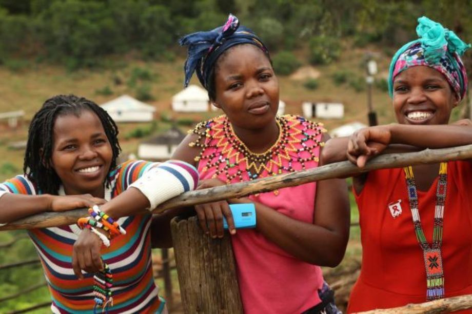 Donate to Fund A Bunnykat, Change 4 Lives! - GlobalGiving