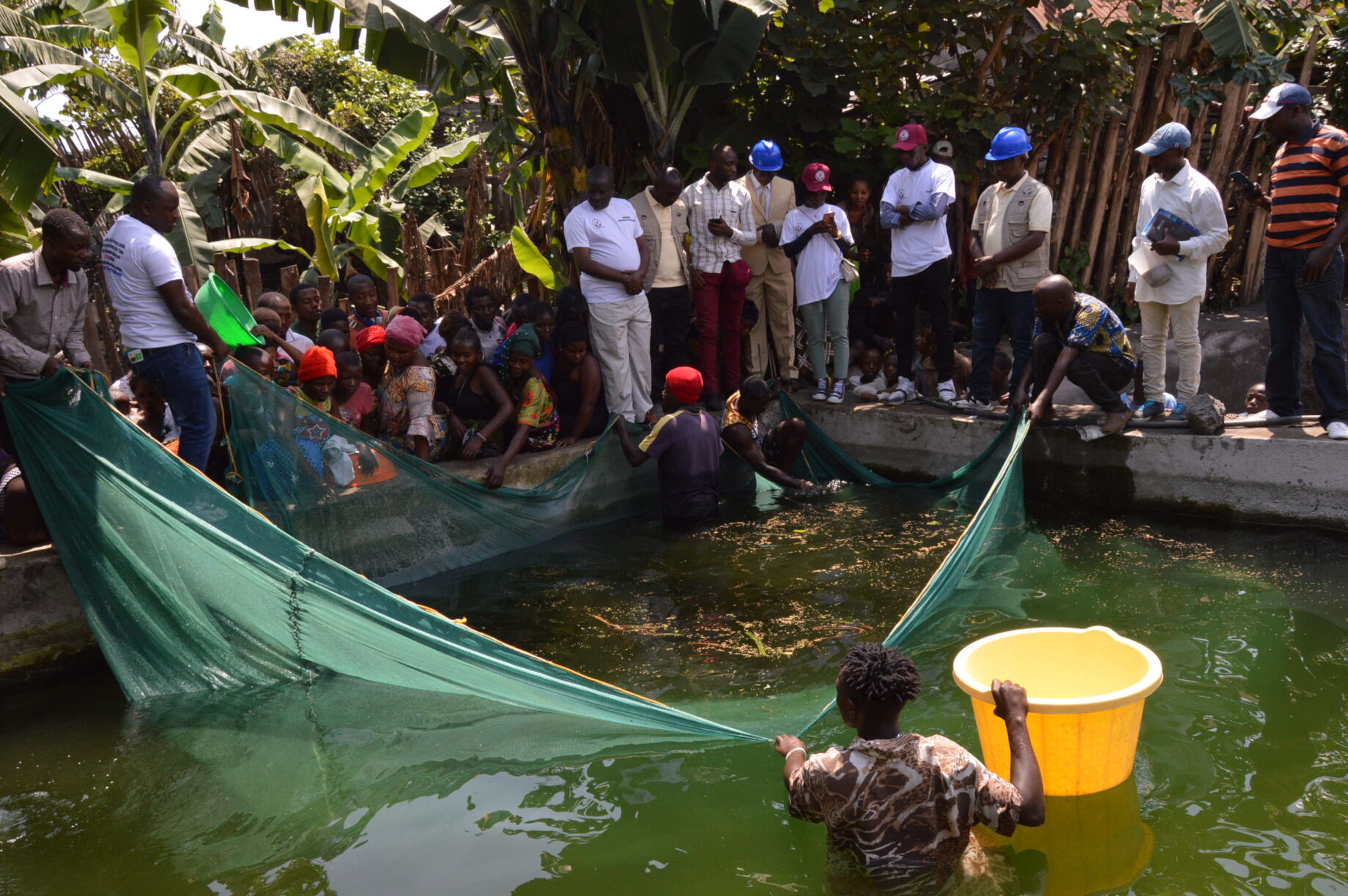 Help to Build Sustainable Fish Ponds - GlobalGiving