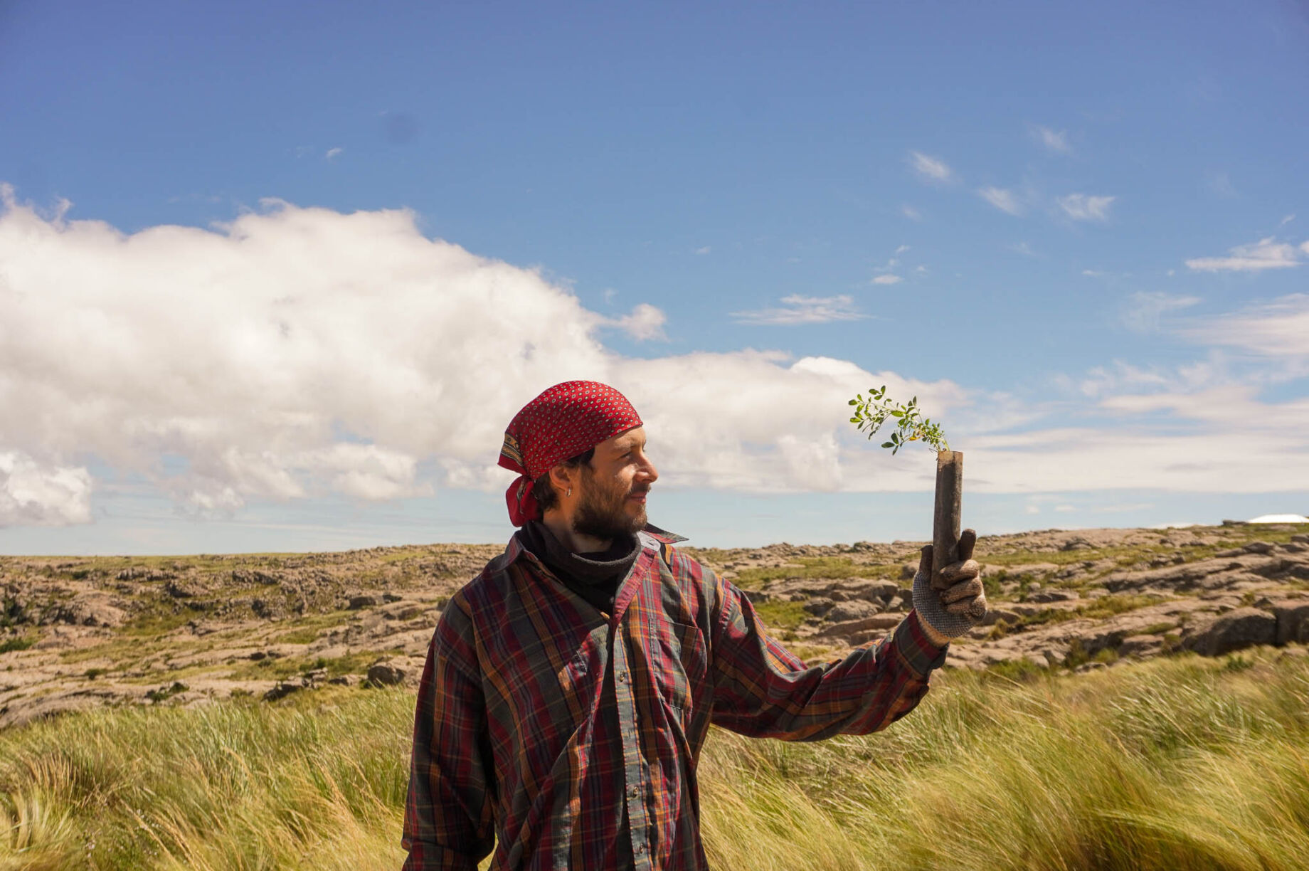 Reforesting headwaters of the future, Argentina - GlobalGiving
