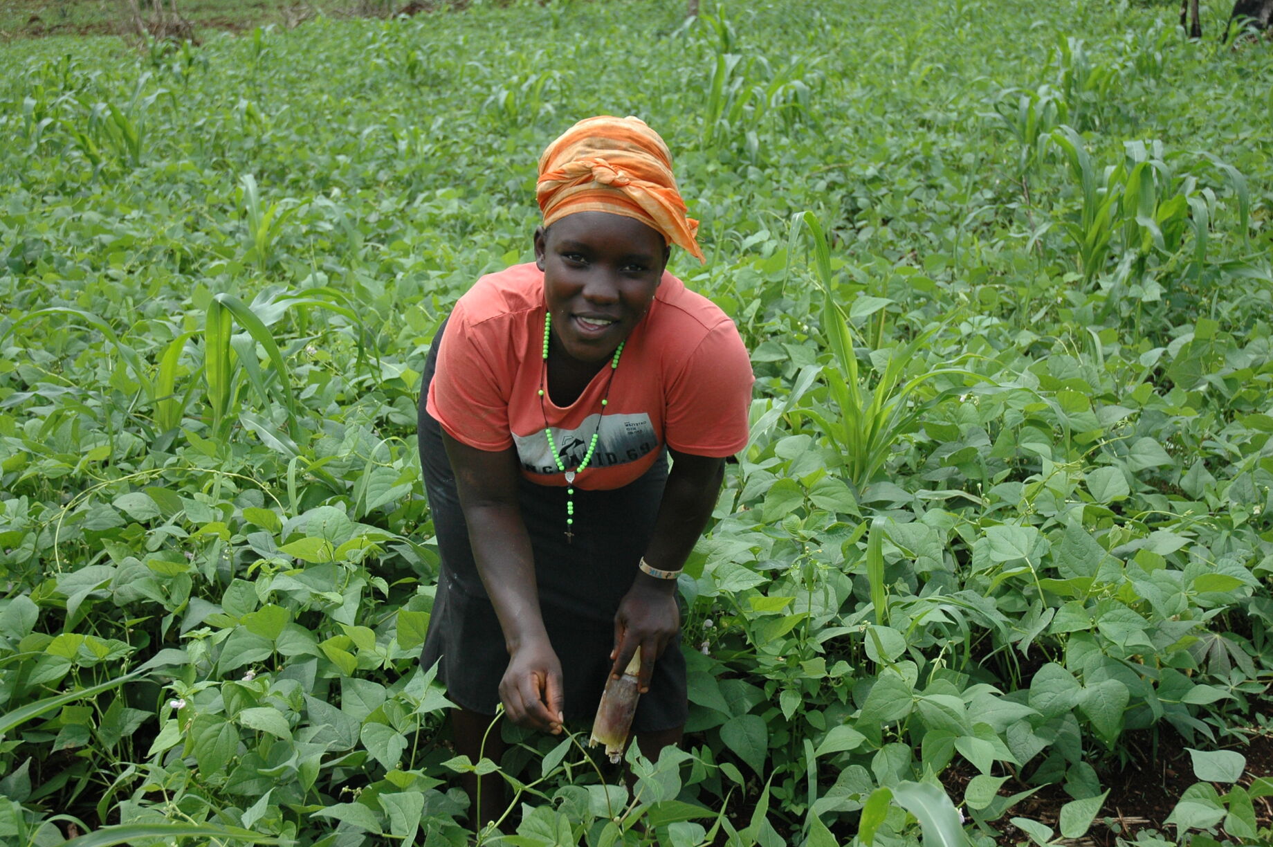 Women fighting Climate Change through Agroecology - GlobalGiving