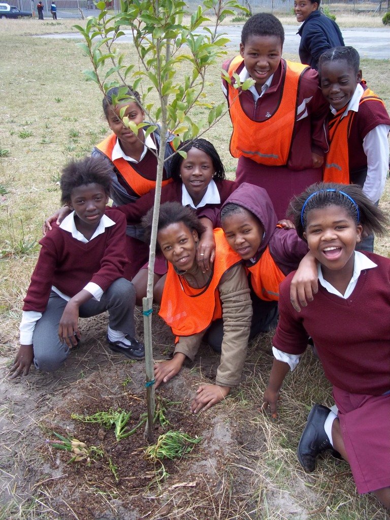 One tree starts a forest - GlobalGiving