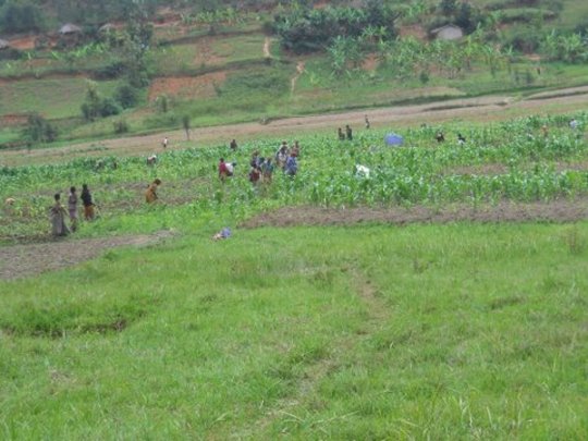 Enable 50 Rwandan Mothers to Farm for Profit - GlobalGiving