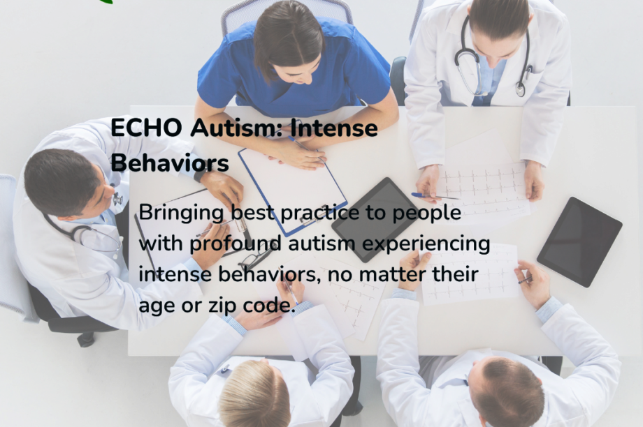 ECHO Autism:Intense Behaviors - GlobalGiving
